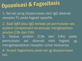 Hipersensitivitas | PPTX