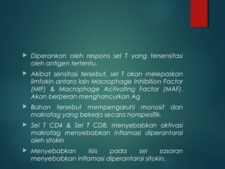 Hipersensitivitas (alergi) | PPT