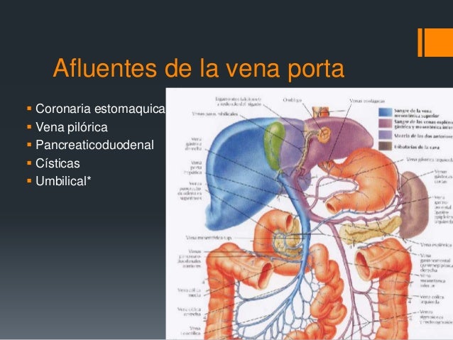 Hipertensión portal