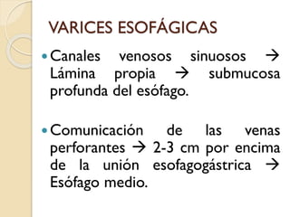 Hipertensión portal y varices esogáficas | PPTX