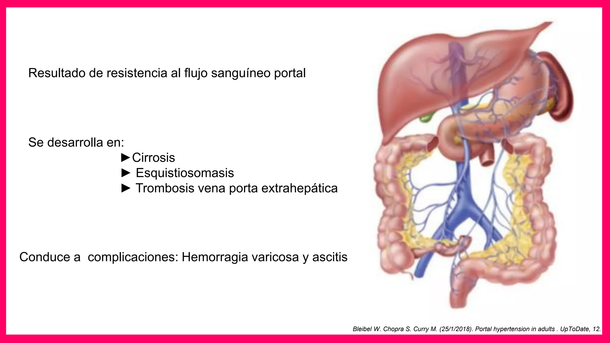 Hipertension Portal Pdf