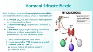Hipertireoidizam | PPTX