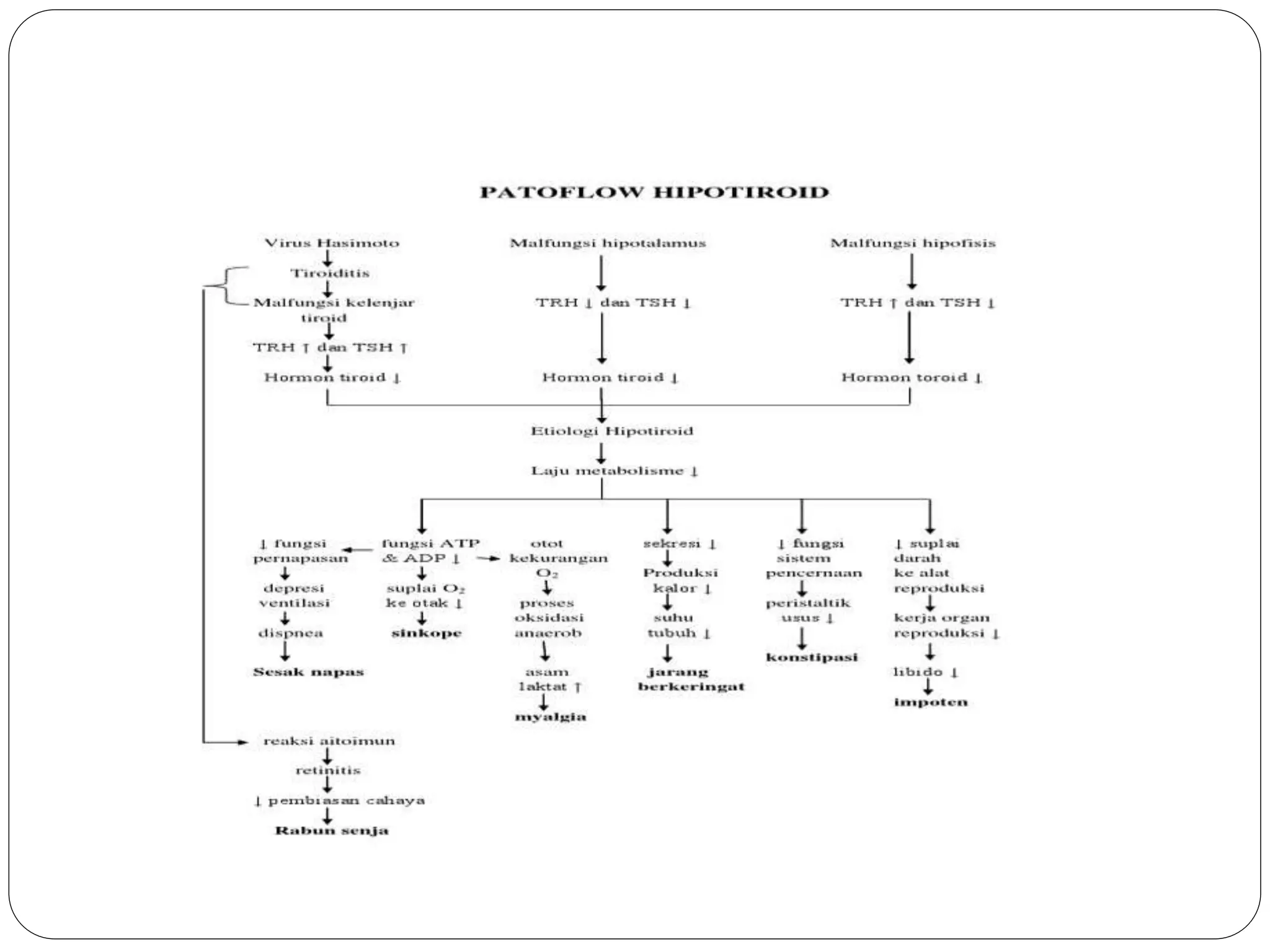 Hipertiroid dan Hipotiroid | PPTX