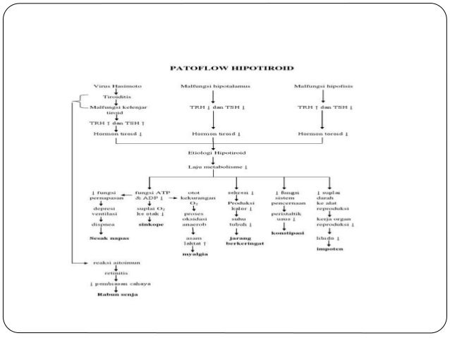Hipertiroid dan Hipotiroid