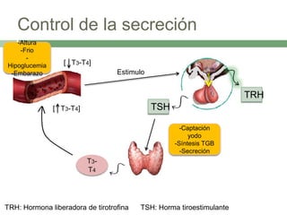 Hipertiroidismo | PPTX