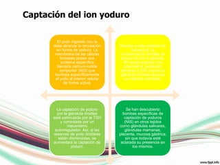 Hipertiroidismo. Fisiopatologia | PPTX