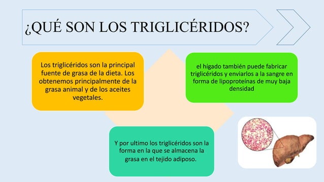 La Hipertrigliceridemia, que es, causas, tratamientono framacologico y ...