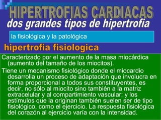 Hipertrofias cardiacas flory unmsm | PPT