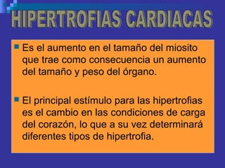 Hipertrofias cardiacas flory unmsm | PPT