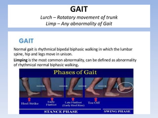 CLINICAL EXAMINATION OF HIP JOINT | PPTX