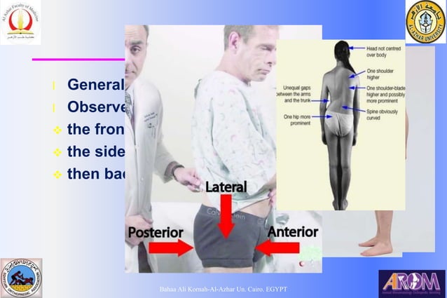 Hip examination | PPT