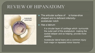 Hip Examination.pptx