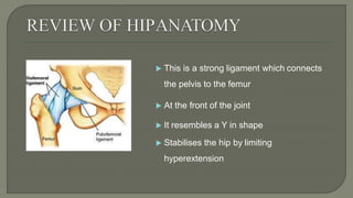 Hip Examination.pptx