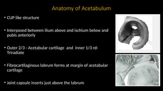 HIP EXAMINATION Clinical pediatric (1).pptx