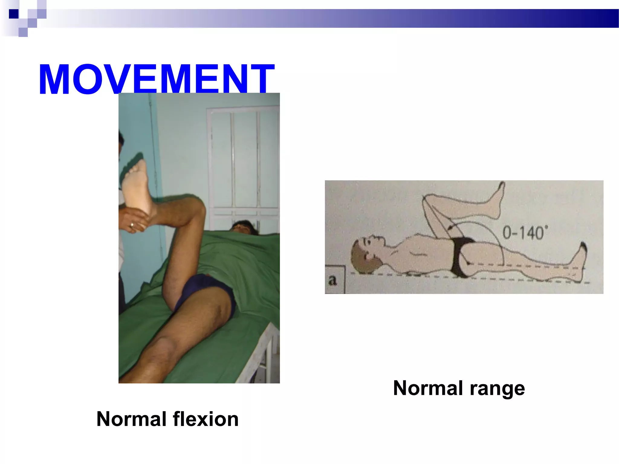 examination of the hip joint | PPT