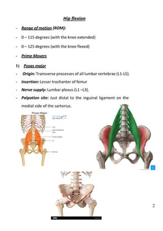 HIP flex ext abd manual MUSCLE TESTING.pdf