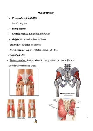 HIP flex ext abd manual MUSCLE TESTING.pdf