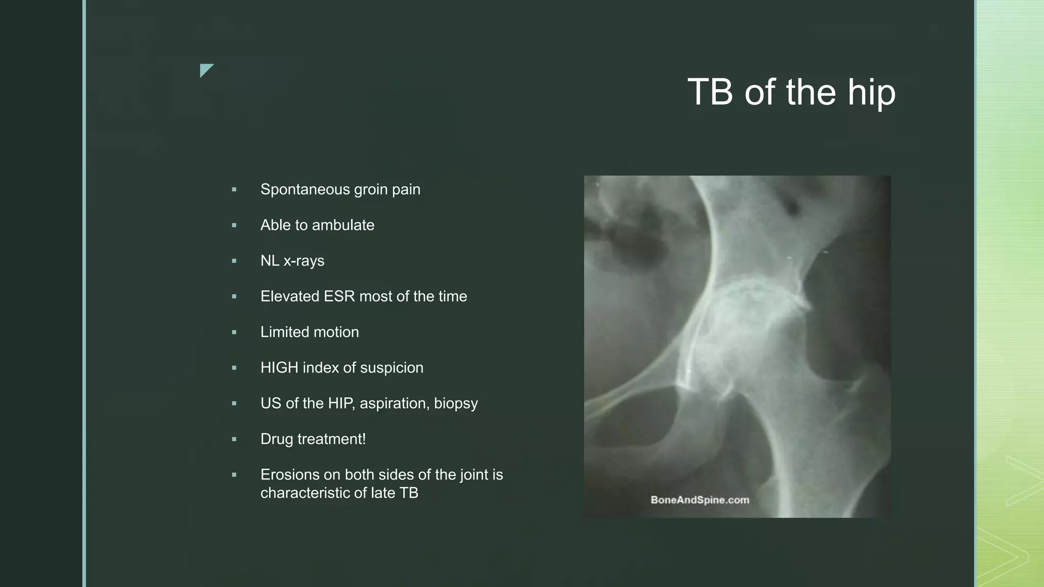 Hip and pelvis for beginners | PPT