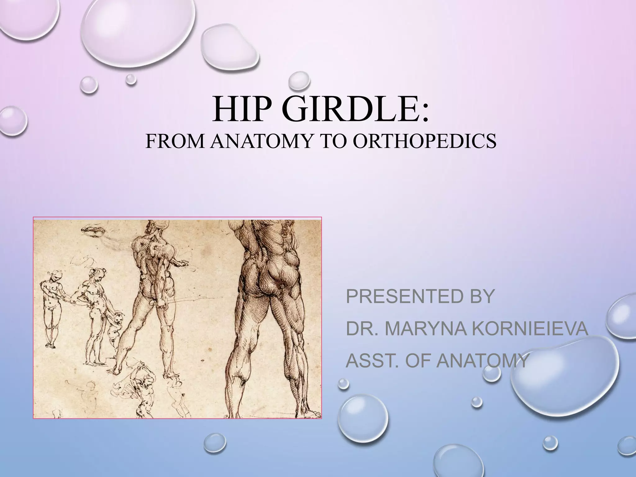 Hip girdle from anatomy to orthopedics | PDF