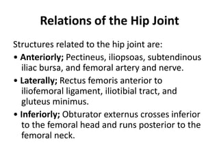 Hip joint | PPTX