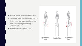 Hip joint | PPTX