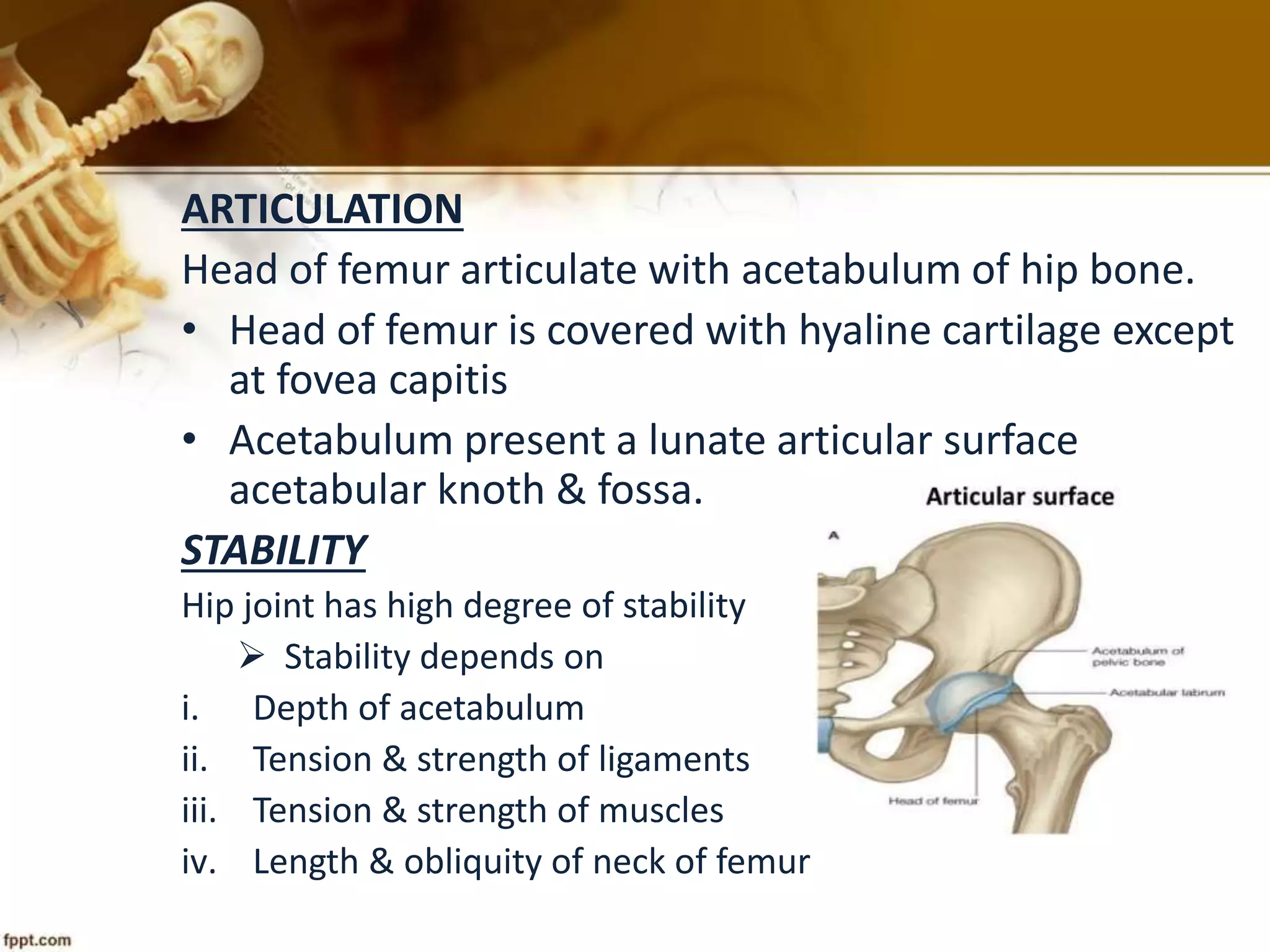 Hip joint | PPTX