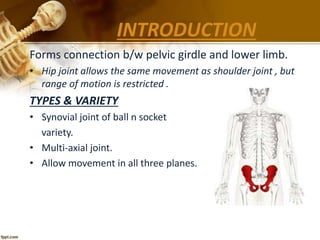 Hip joint | PPTX