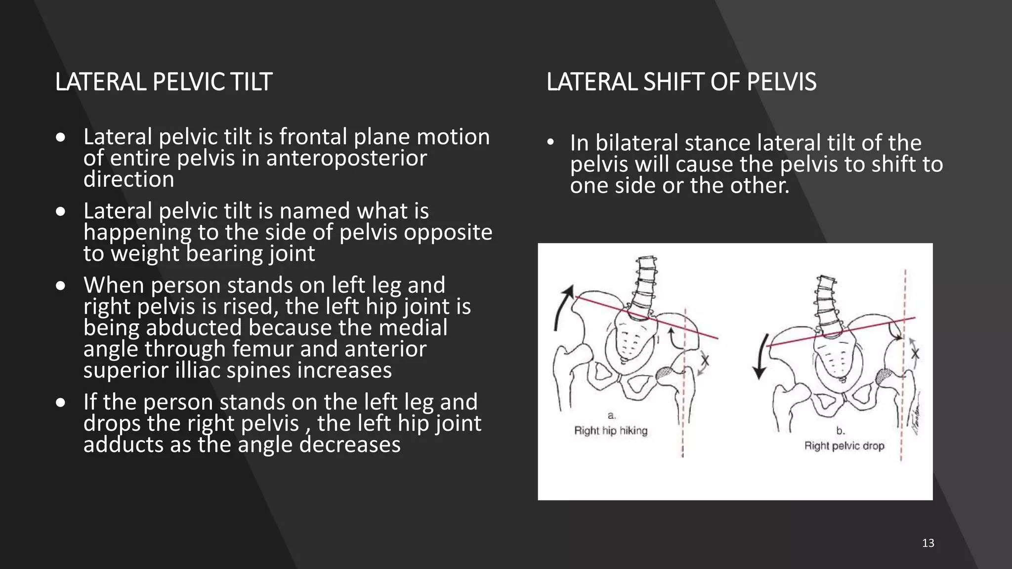 Hip Joint Biomechanics | PPTX