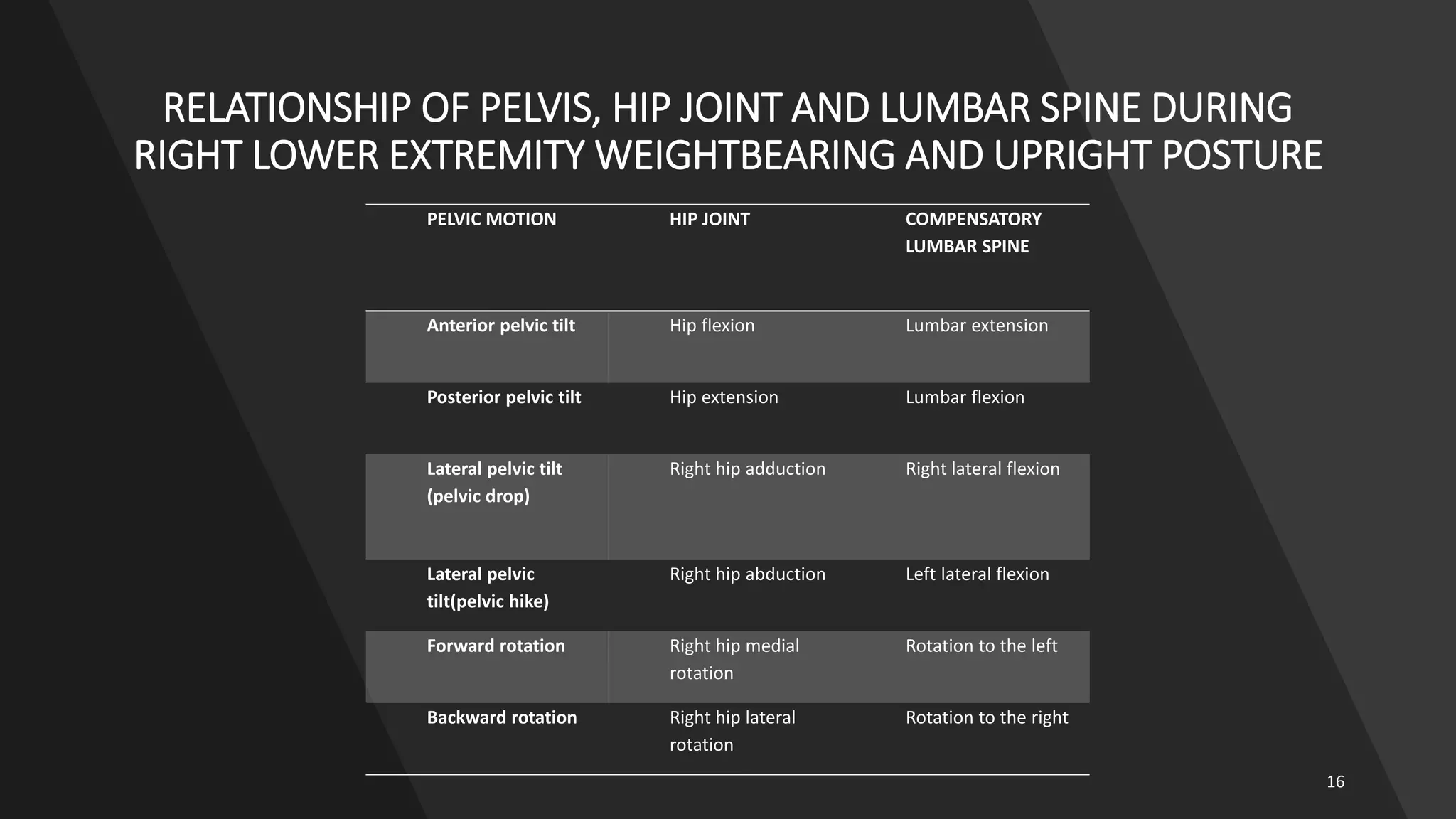 Hip Joint Biomechanics | PPTX