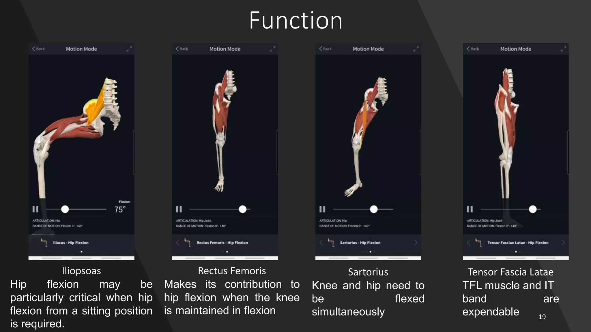Hip Joint Biomechanics | PPTX