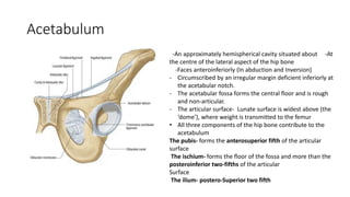 Hip Joint.pptx