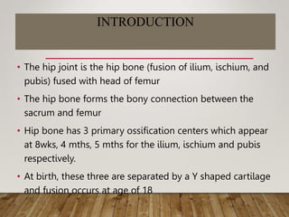 Hip Joint.pptx