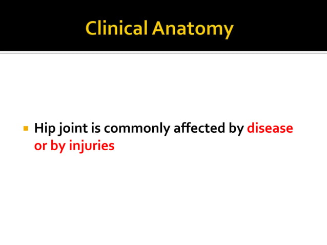 hip joint.ppt
