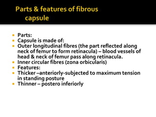 hip joint.ppt