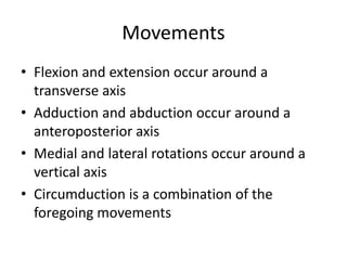 HipJoint attachment and action of muscles | PPTX