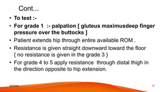HIP JOINT.pptx slide share / MMT/ ROM of hip | PPTX