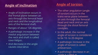 Hip joint .it's basic anatomy kinetics , kinematics is been showed in ...