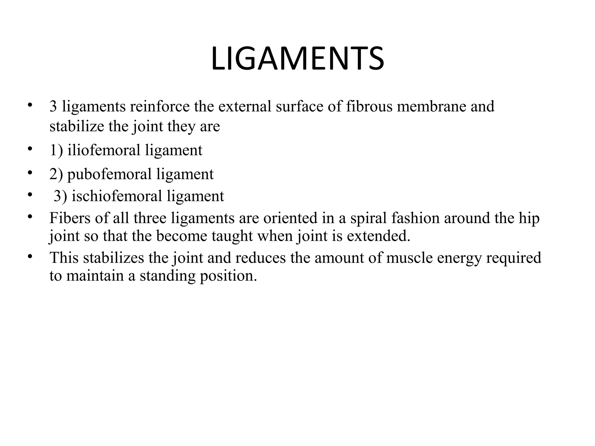 Hip Joint Anatomy Ppt