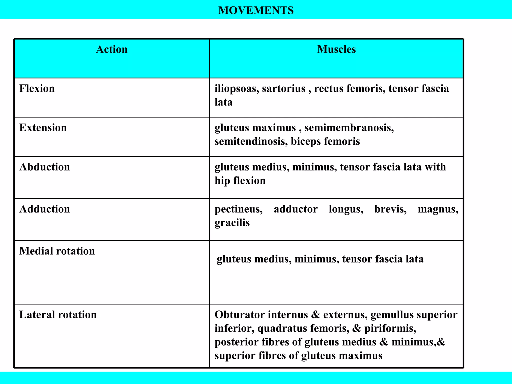 Hip joint anatomy | PPT