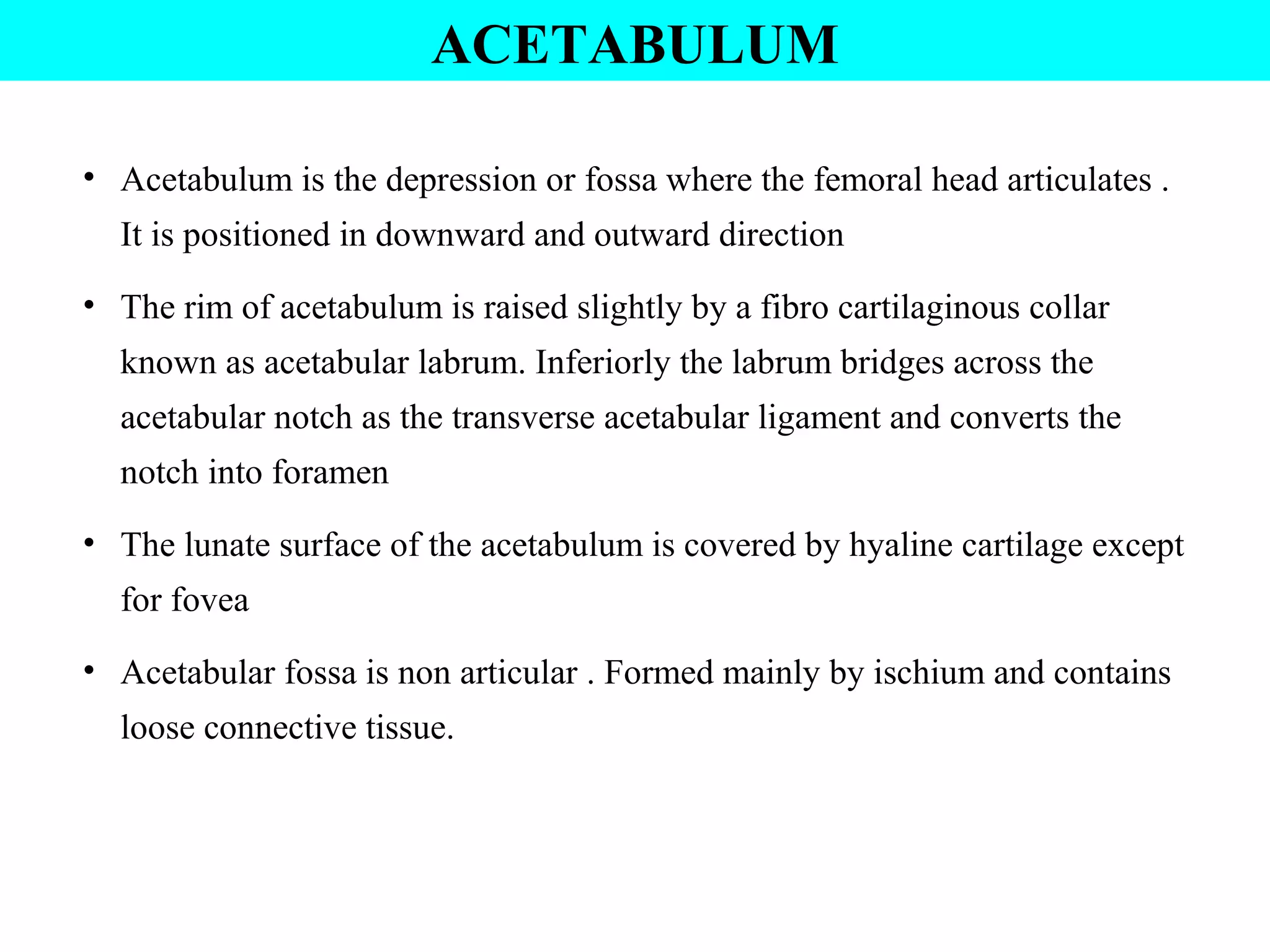 Hip joint anatomy | PPT