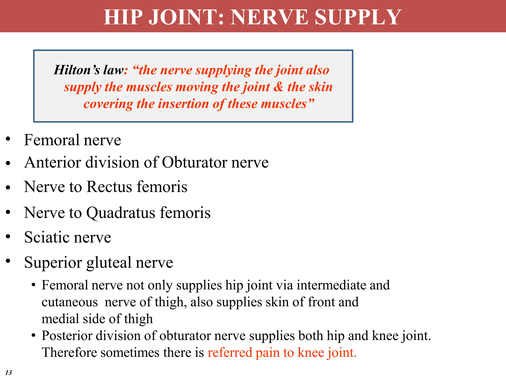 hip joint anatomy physiology and injuries.pptx