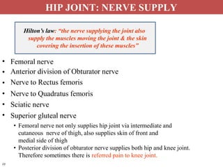 hip joint anatomy physiology and injuries.pptx