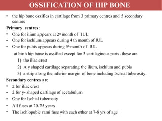 hip joint anatomy physiology and injuries.pptx