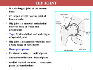 hip joint anatomy physiology and injuries.pptx