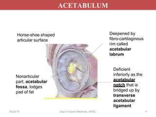 hip joint anatomy physiology and injuries.pptx