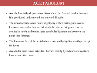 hip joint anatomy physiology and injuries.pptx