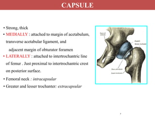 hip joint anatomy physiology and injuries.pptx