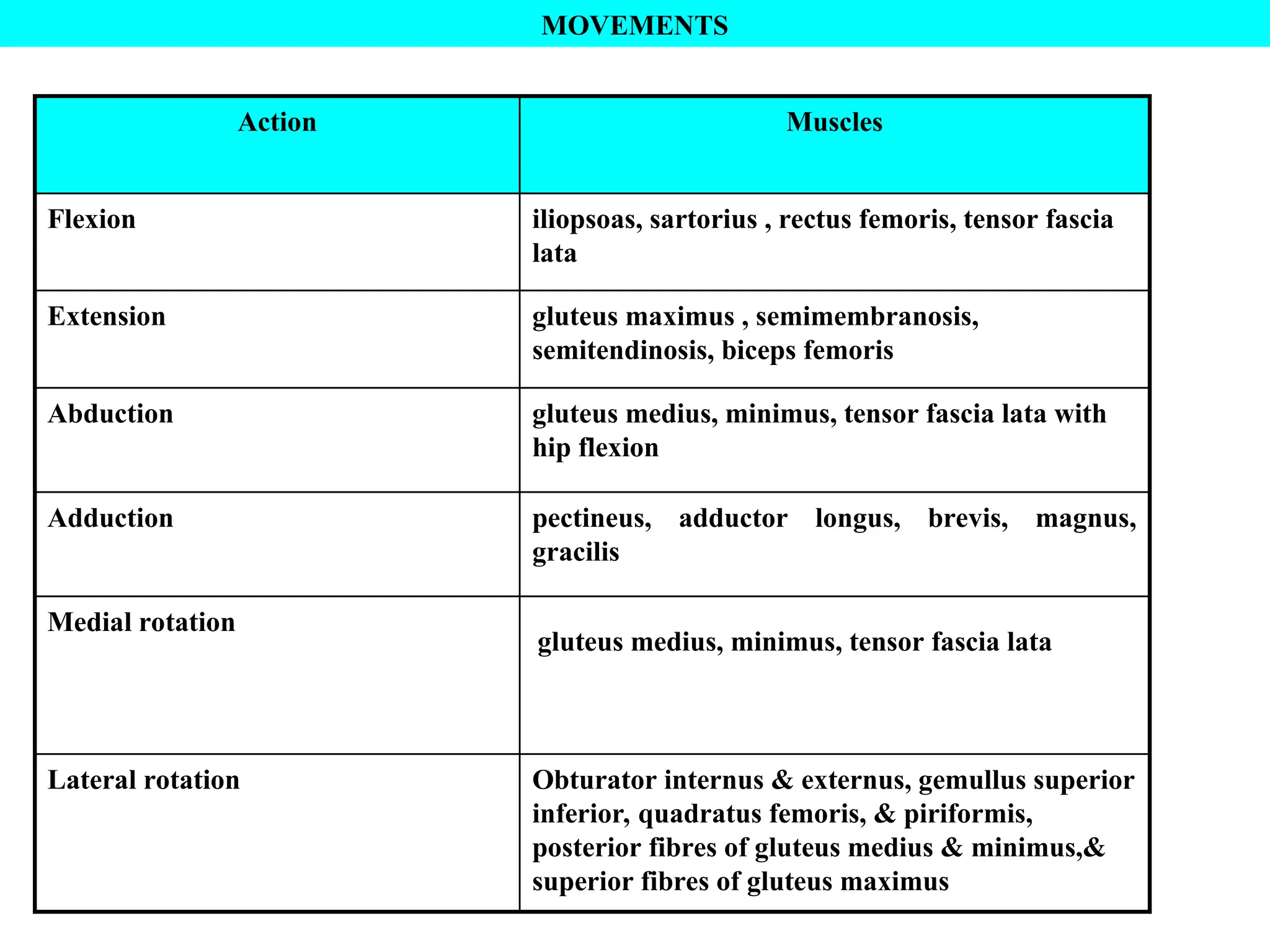 Hip Joint Anatomy for Physiotherapists.ppt