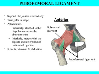 Hip Joint Anatomy for Physiotherapists.ppt