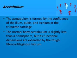 Hip joint anatomy and biomechanics | PPTX